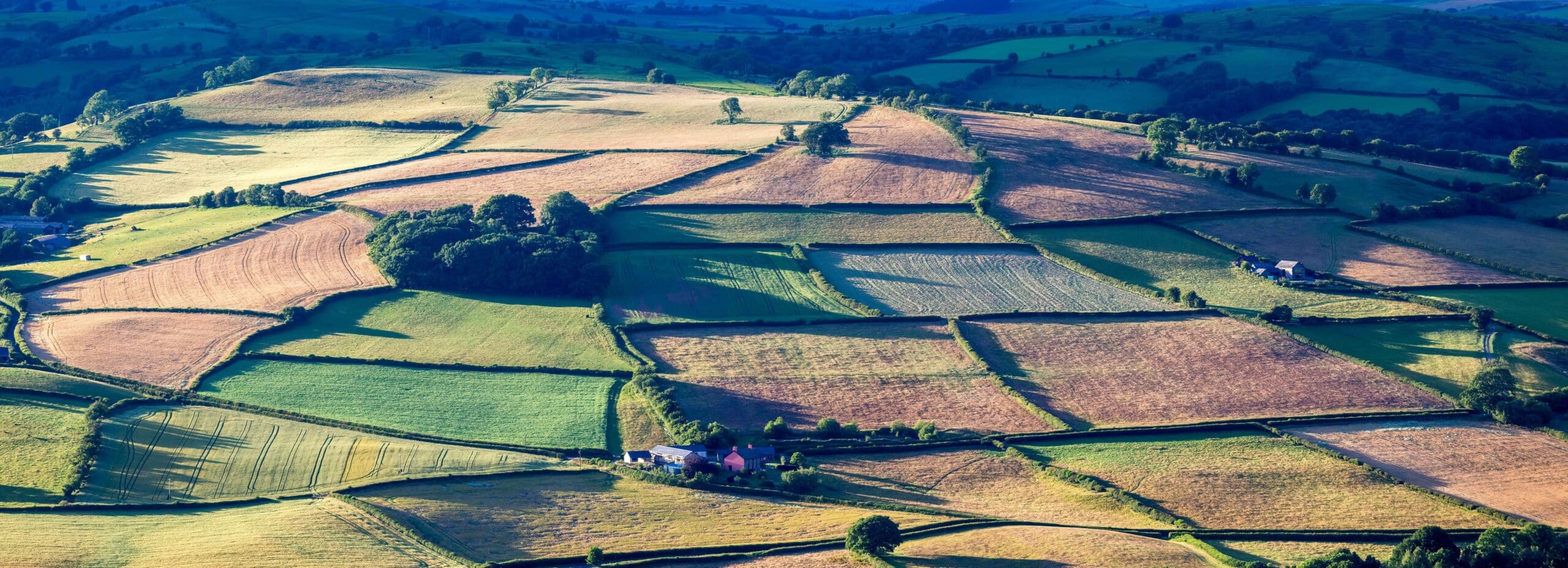 Careers - Simplify Consulting